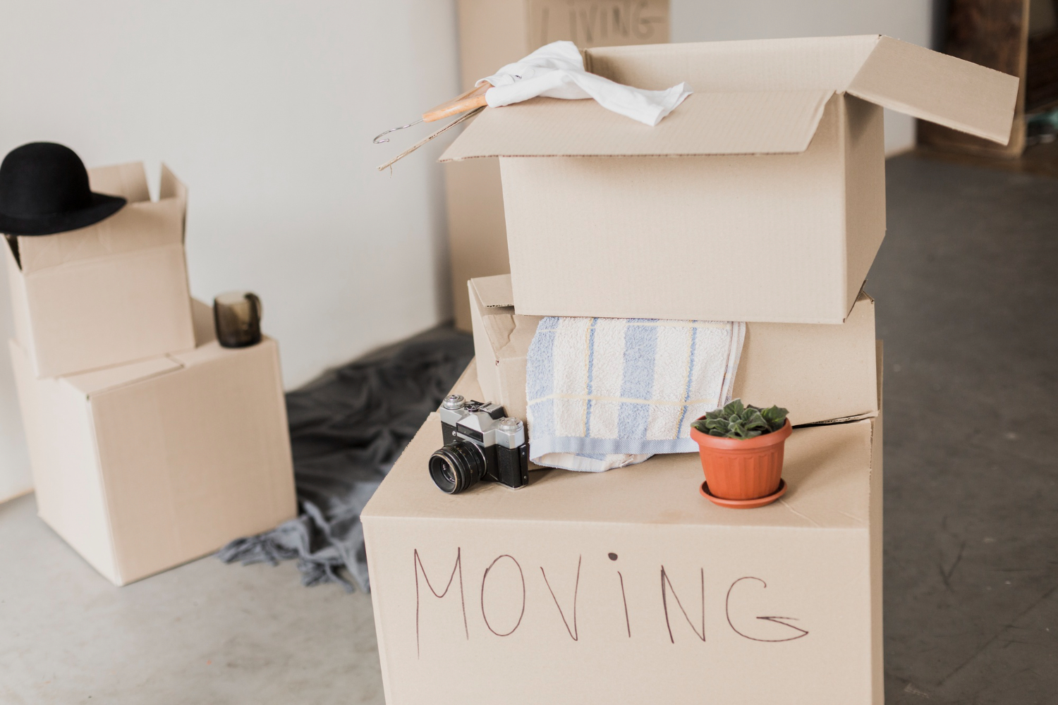 Blog - Moishe's Moving Systems